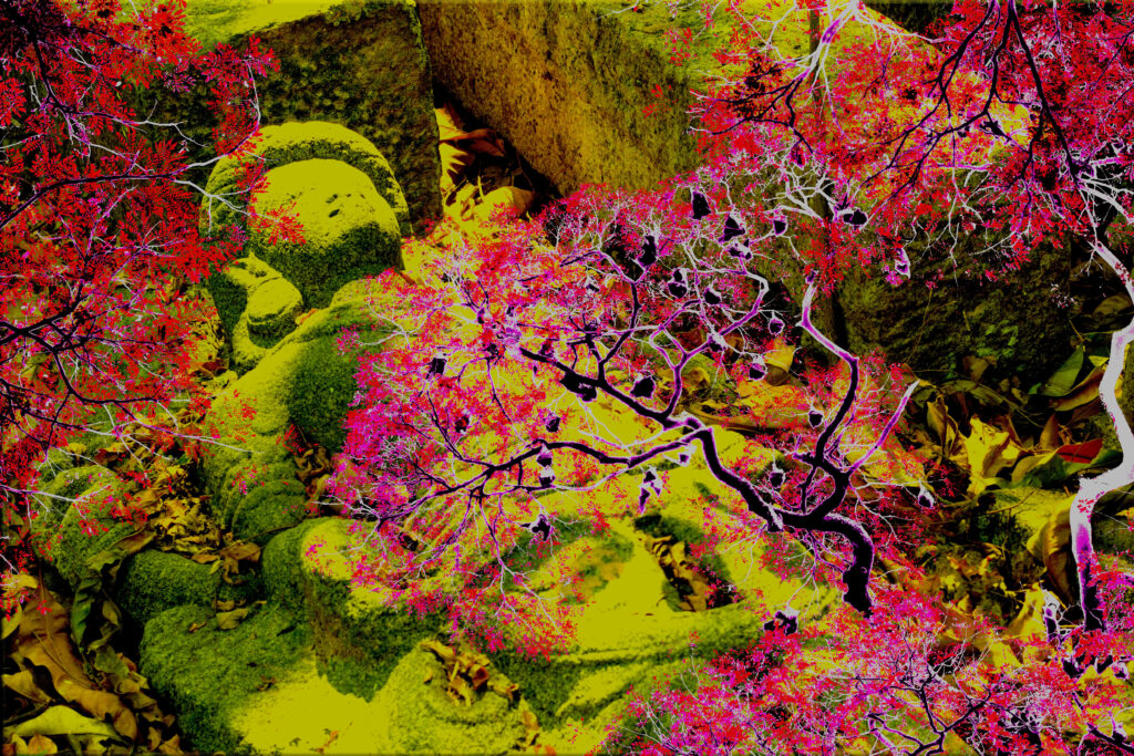 The Ruins of Egmore - MAP Academy